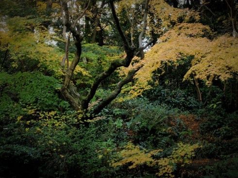熊本の美術館 島田美術館